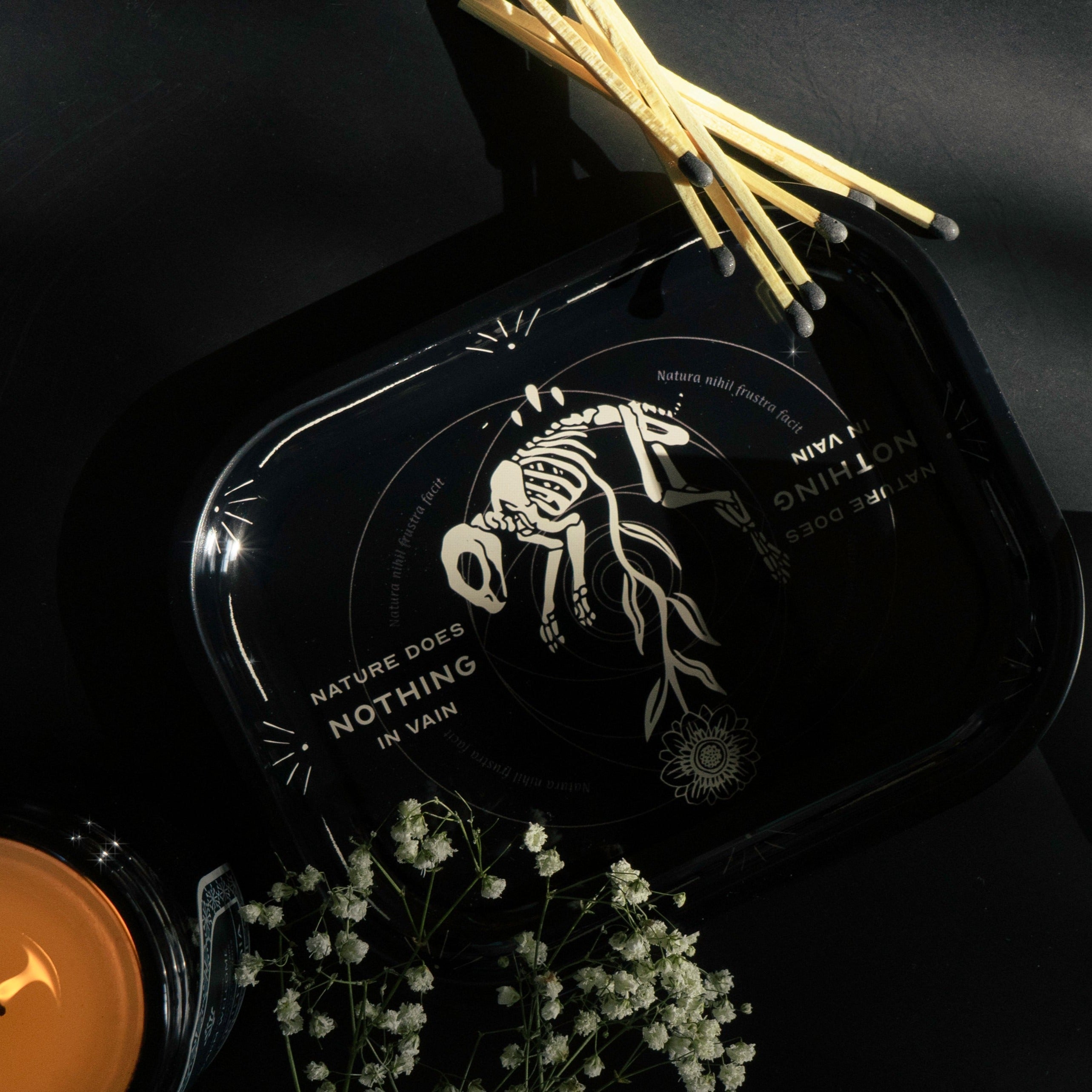 Trinket Tray Nature Does Nothing in Vain Rabbit Skeleton Tray – My Store